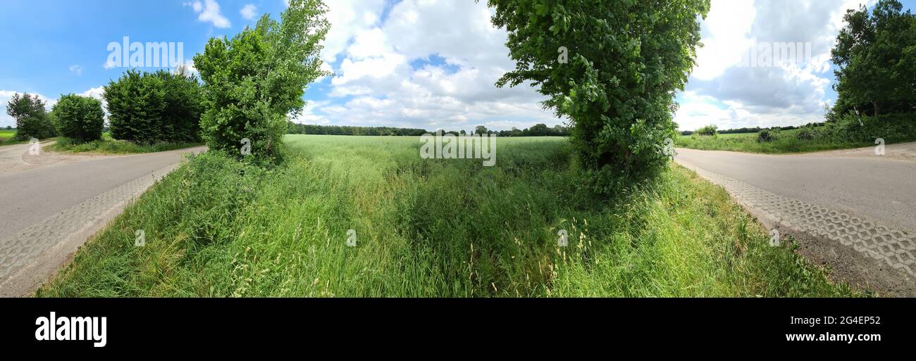 Panorama of countryside roads with fields and trees in northern europe ...