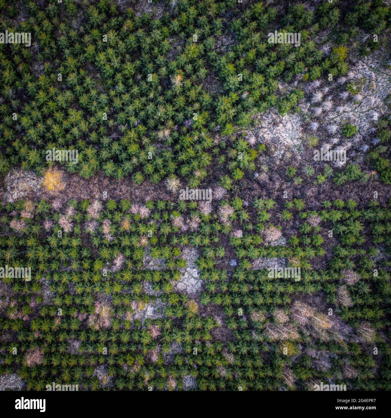 Aerial view plant nursery hi-res stock photography and images - Alamy
