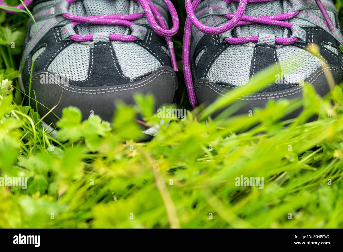 Pair of outdoor shoes on bushy green grass, a closeup on fronts of grey ...