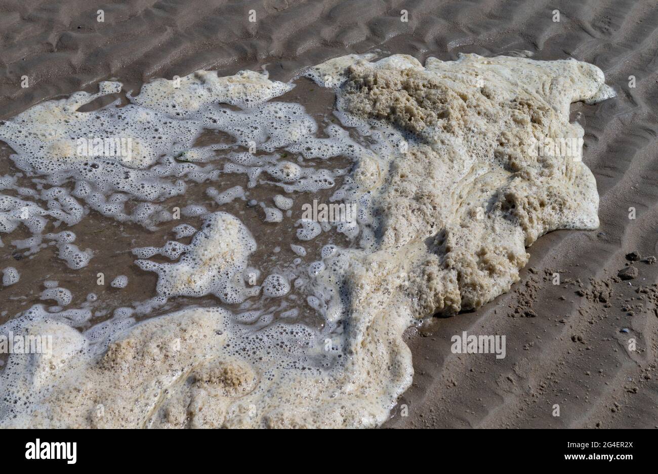 The photo shows white whitecaps on a sandy beach at the North Sea Stock ...