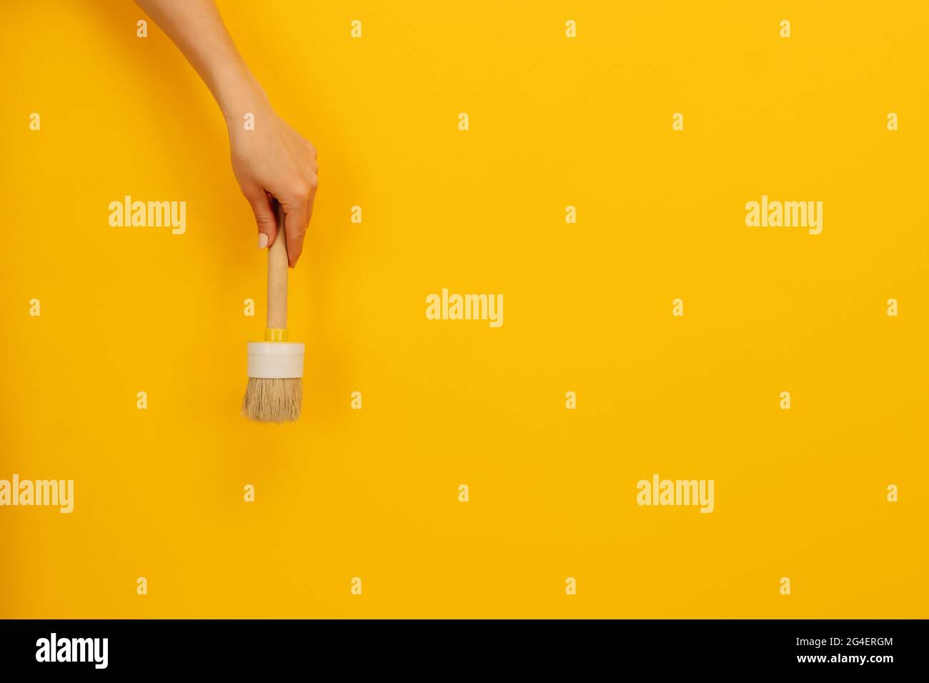 Hand holding paint brush Stock Photo - Alamy