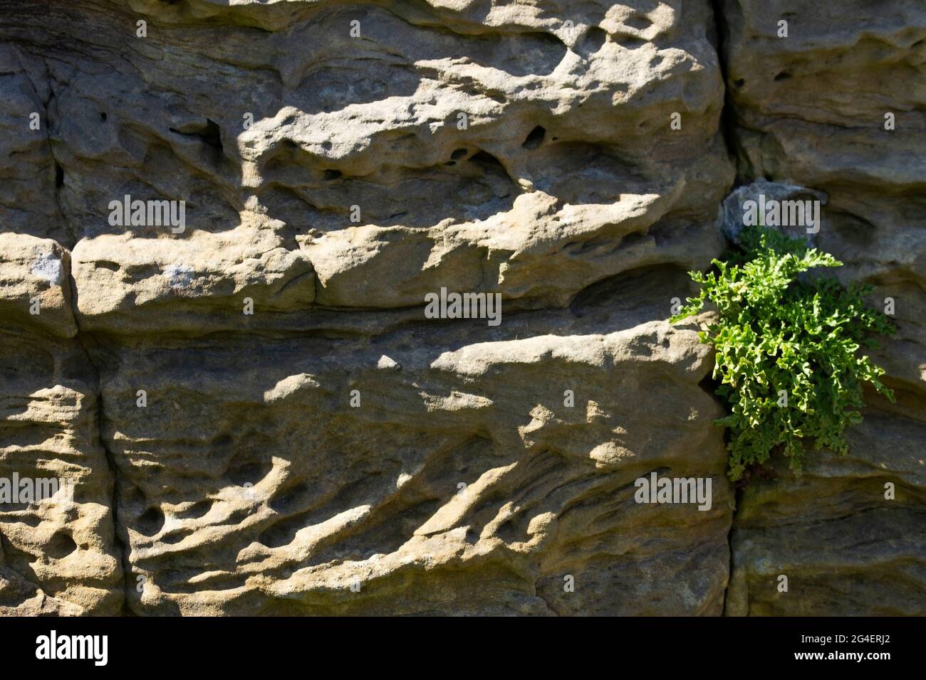Sedimentary deposition hi-res stock photography and images - Alamy