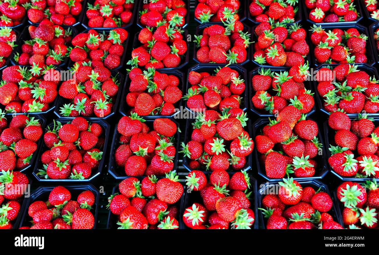 Strawberries on display on a market stall Stock Photo - Alamy
