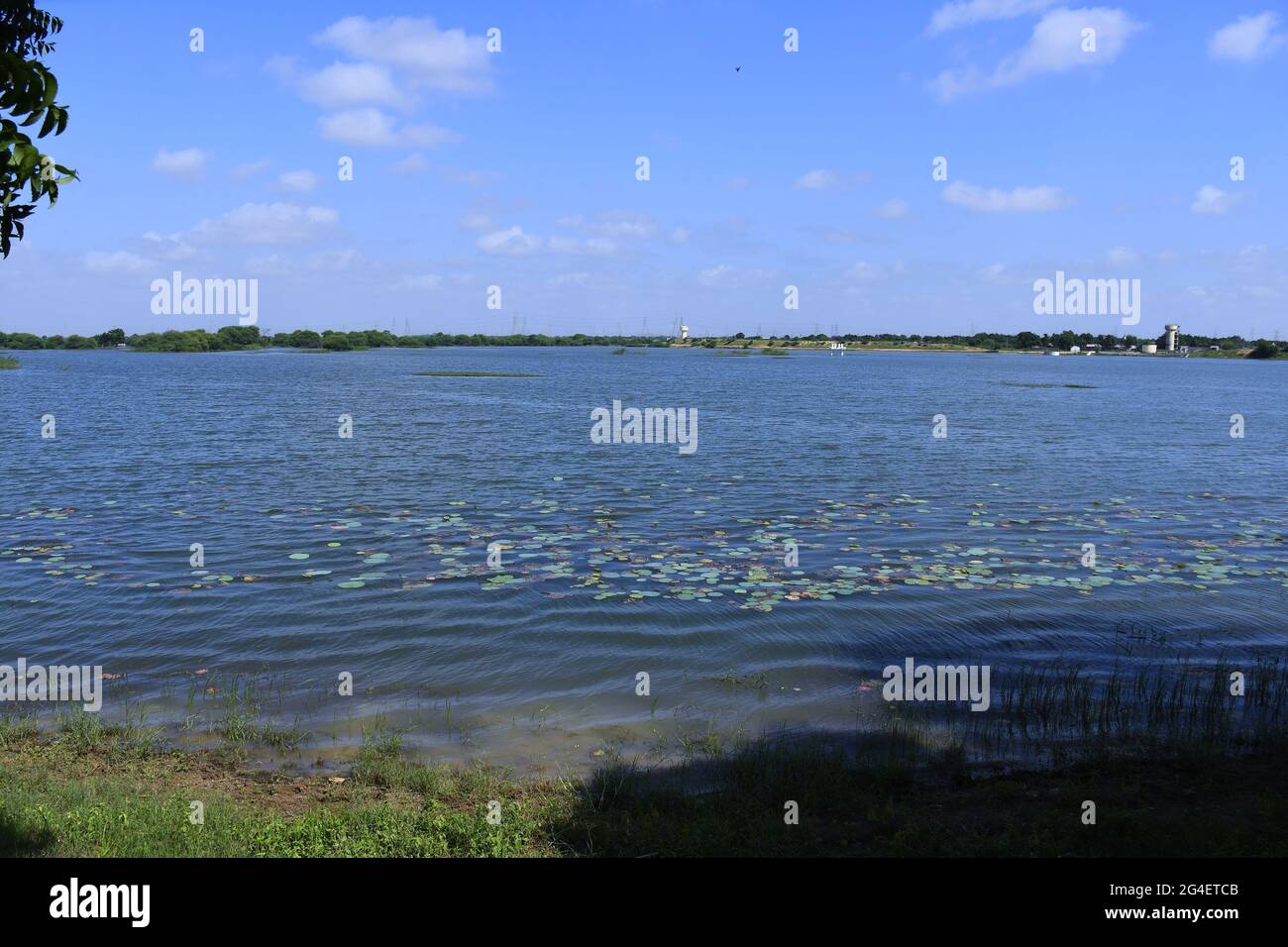 LAKE OF INDIA AT KUTCH, GUJARAT, BLUE WATER Stock Photo - Alamy