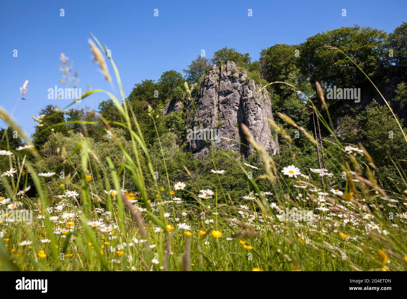 Die sieben blumen hi-res stock photography and images - Alamy