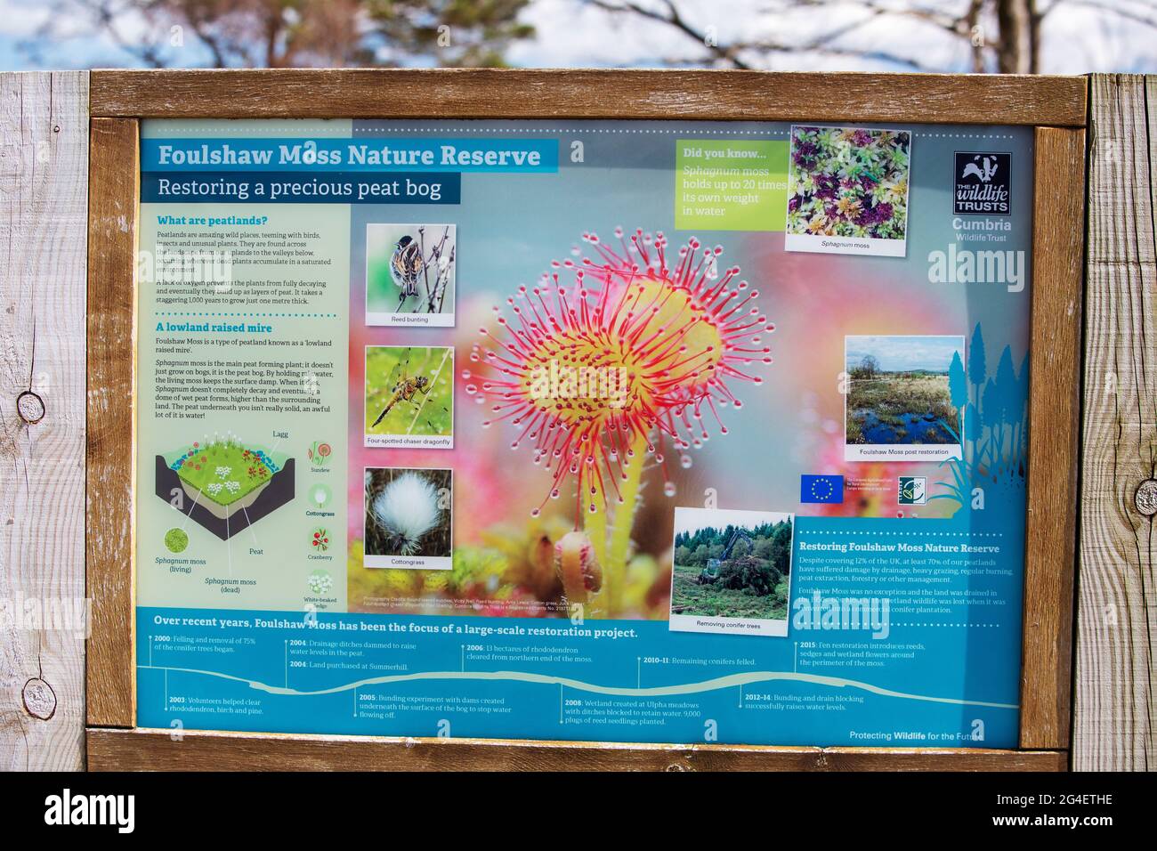 Foulshaw moss nature reserve hi-res stock photography and images - Alamy