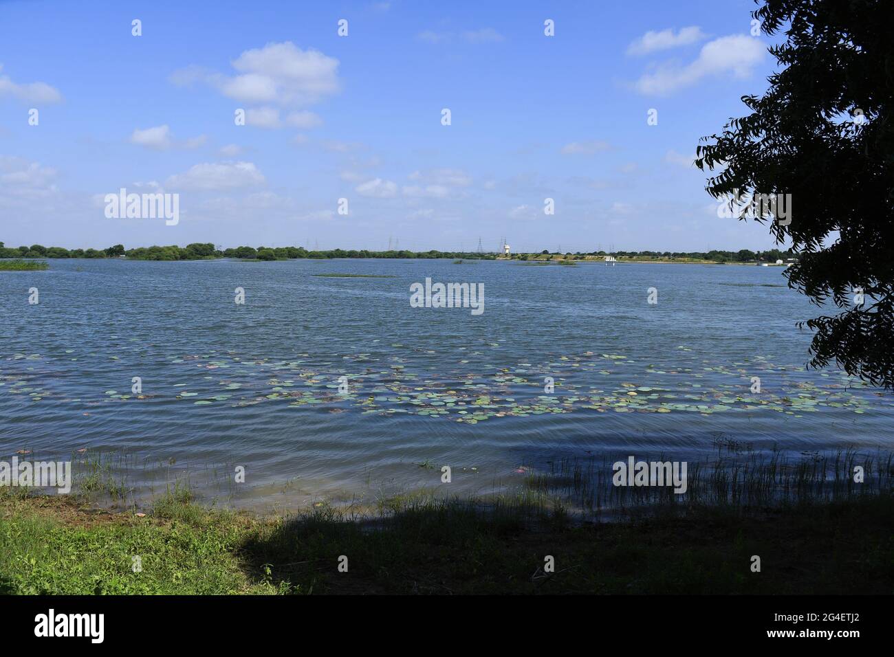 LAKE OF INDIA AT KUTCH, GUJARAT, BLUE WATER Stock Photo - Alamy