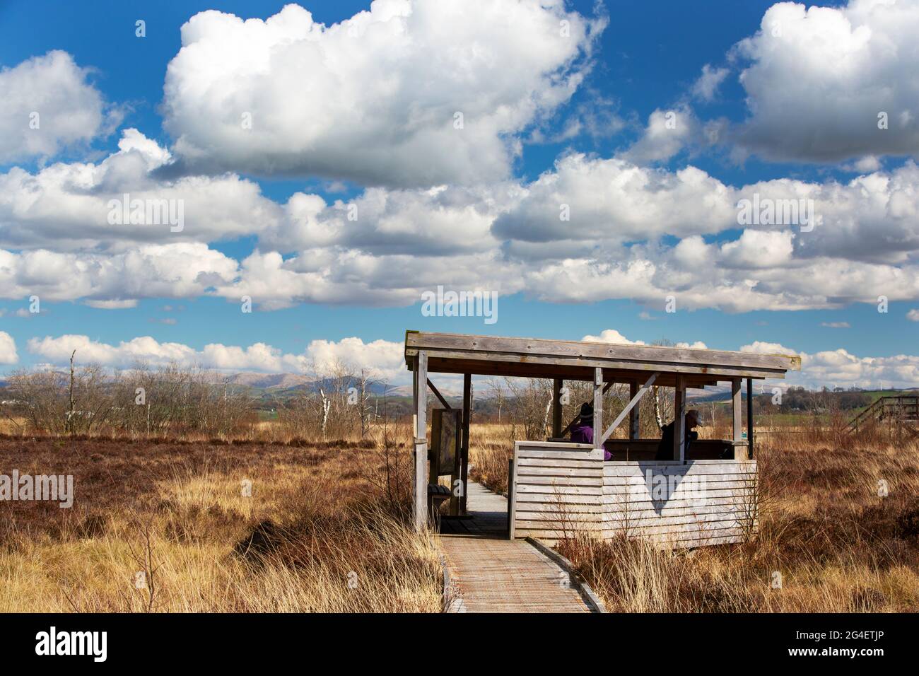Foulshaw moss nature reserve hi-res stock photography and images - Alamy