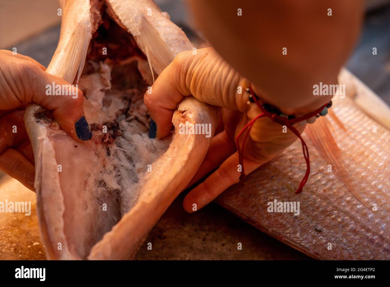 A woman hand opening a bream fish stomach to fill it on the kitchen ...