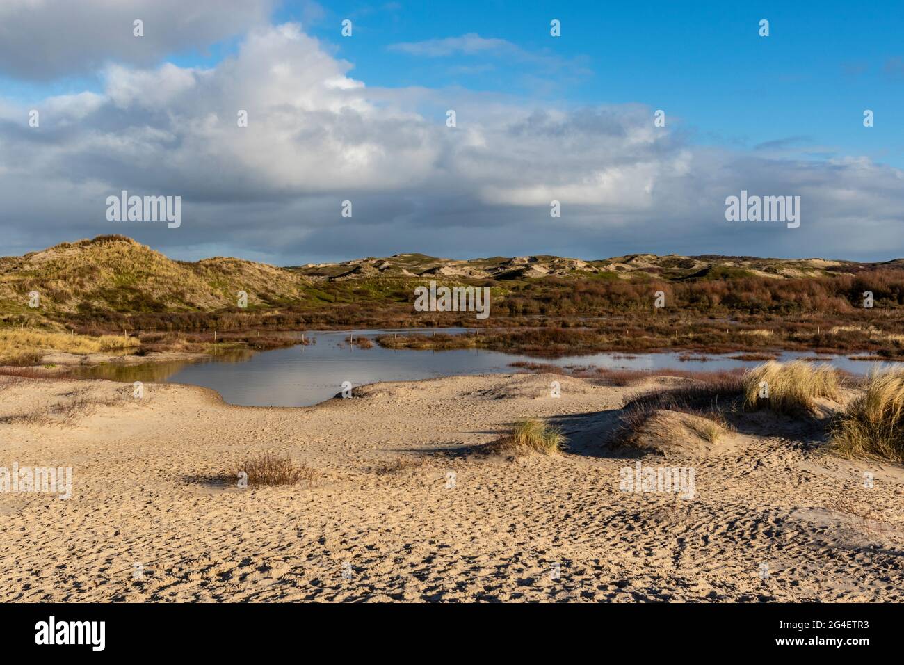 Dune landscape in Bergen aan Zee, Noord-Holland, The Netherlands ...