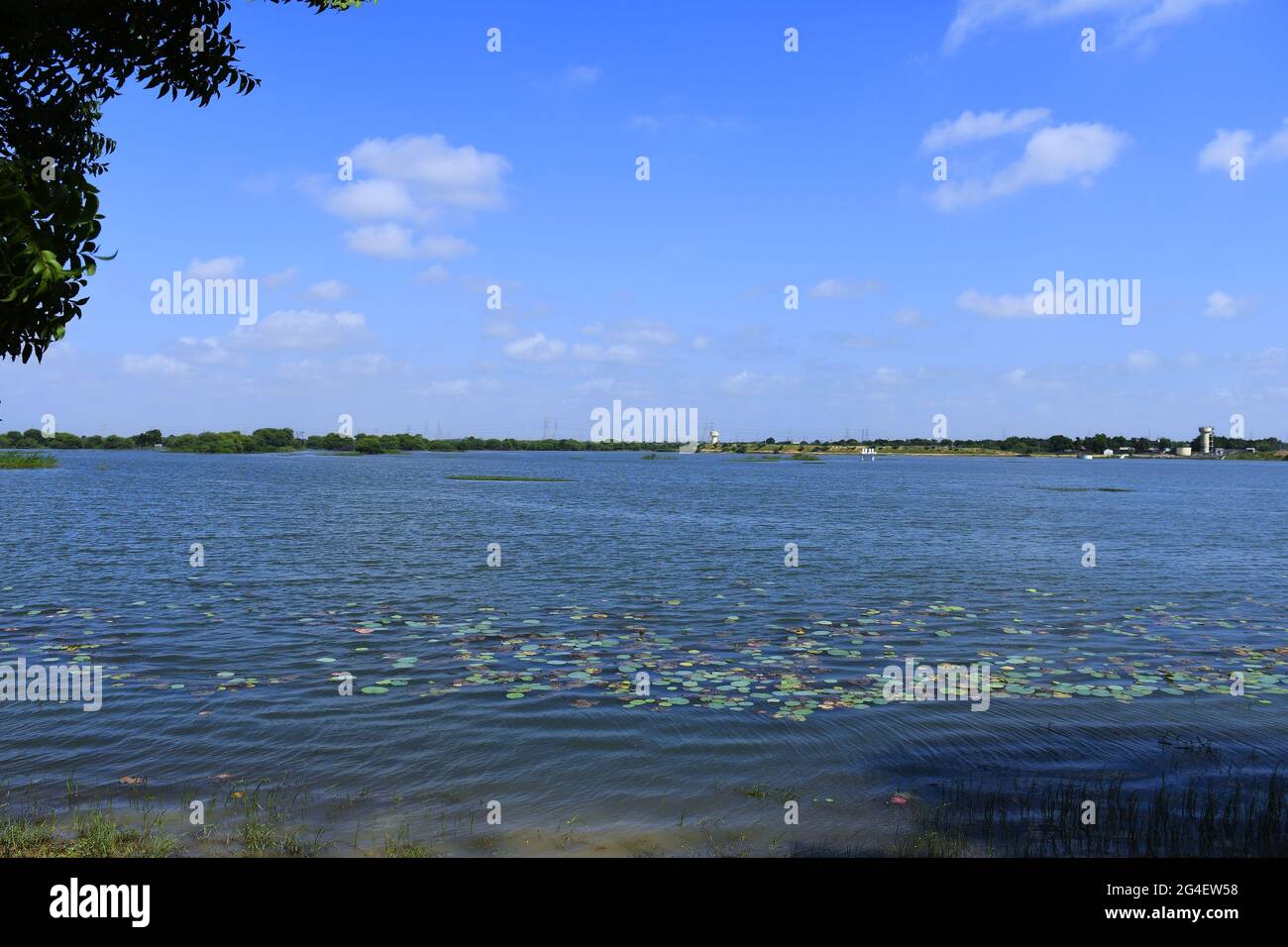 LAKE OF INDIA AT KUTCH, GUJARAT, BLUE WATER Stock Photo - Alamy