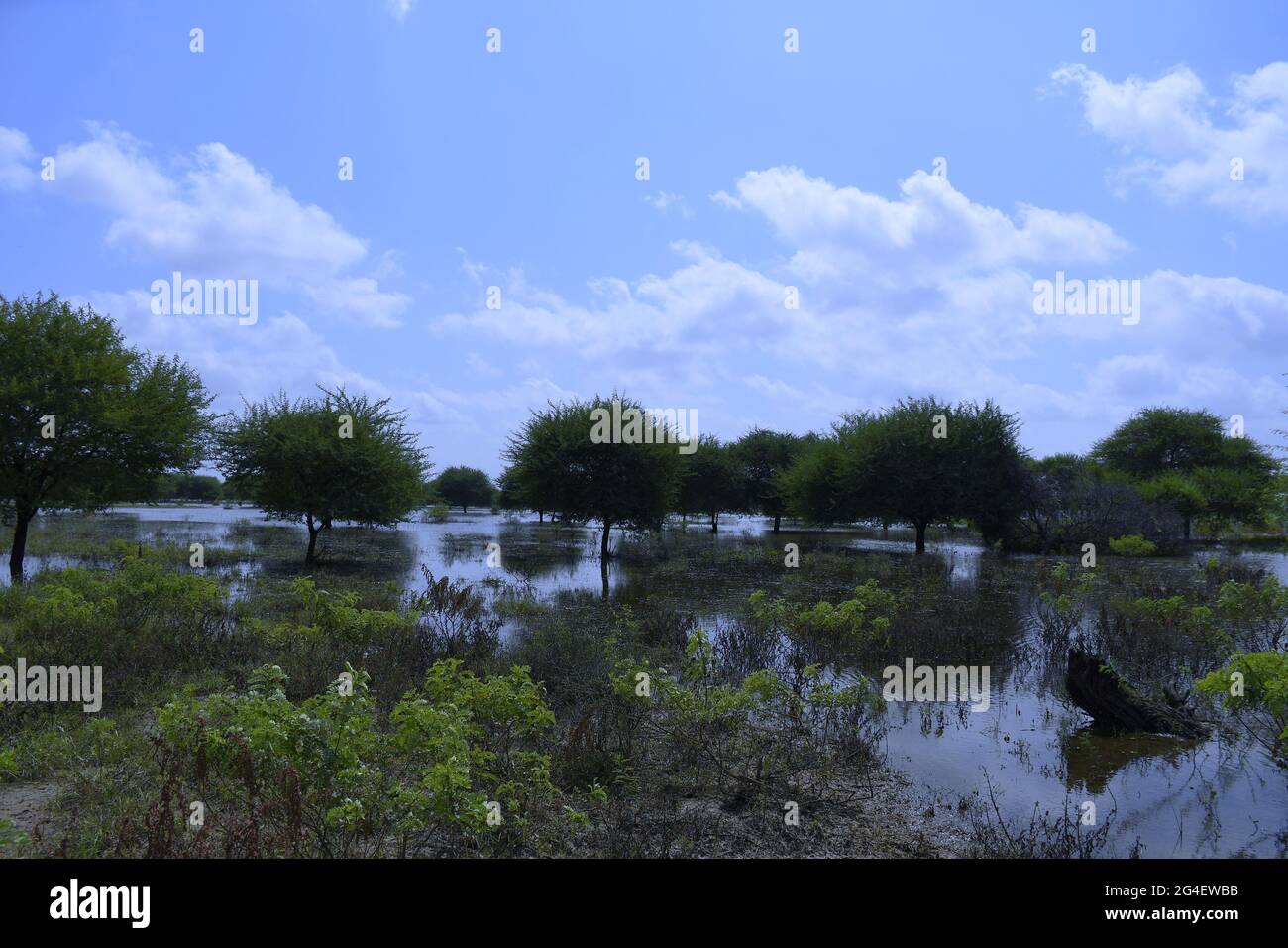 LAKE OF INDIA AT KUTCH, GUJARAT, BLUE WATER Stock Photo - Alamy