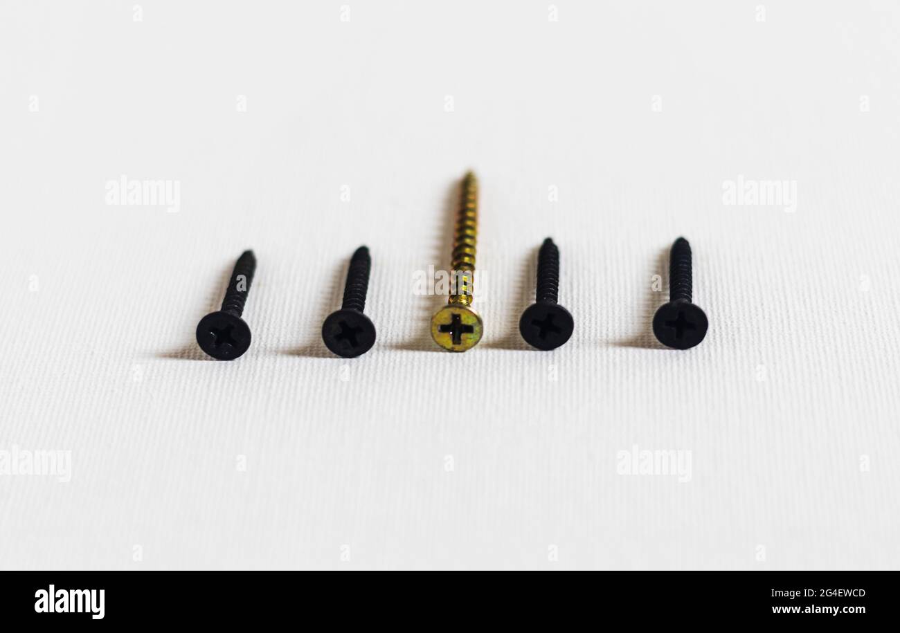 Close up shot of different types of screws Stock Photo - Alamy