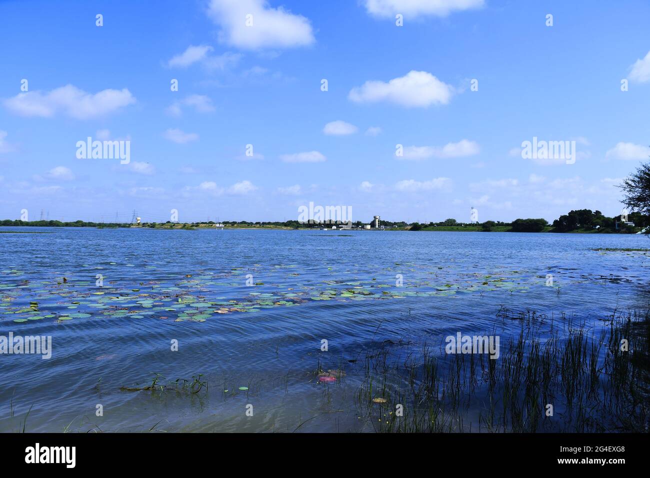 LAKE OF INDIA AT KUTCH, GUJARAT, BLUE WATER Stock Photo - Alamy