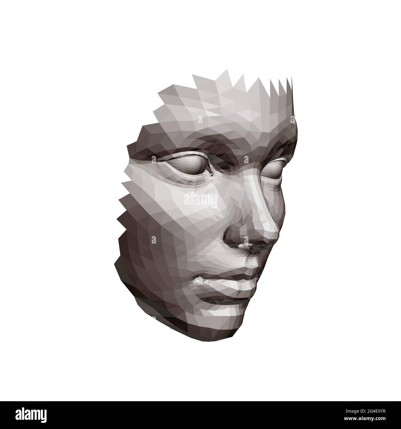 Polygonal face of a girl isolated on a white background. 3D. Vector ...