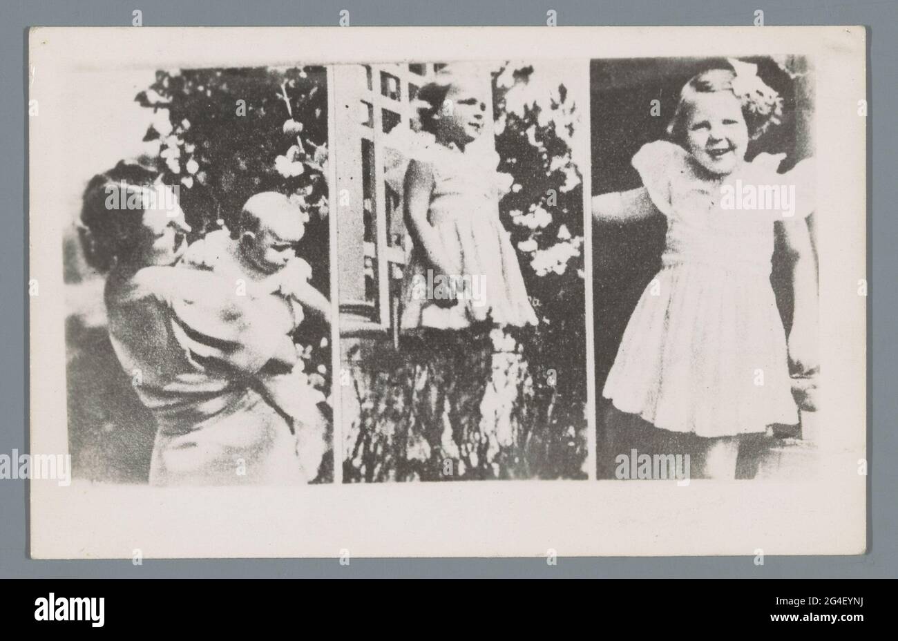 Queen Wilhelmina, Princess Magriet, Irene and Beatrix. Three separate ...