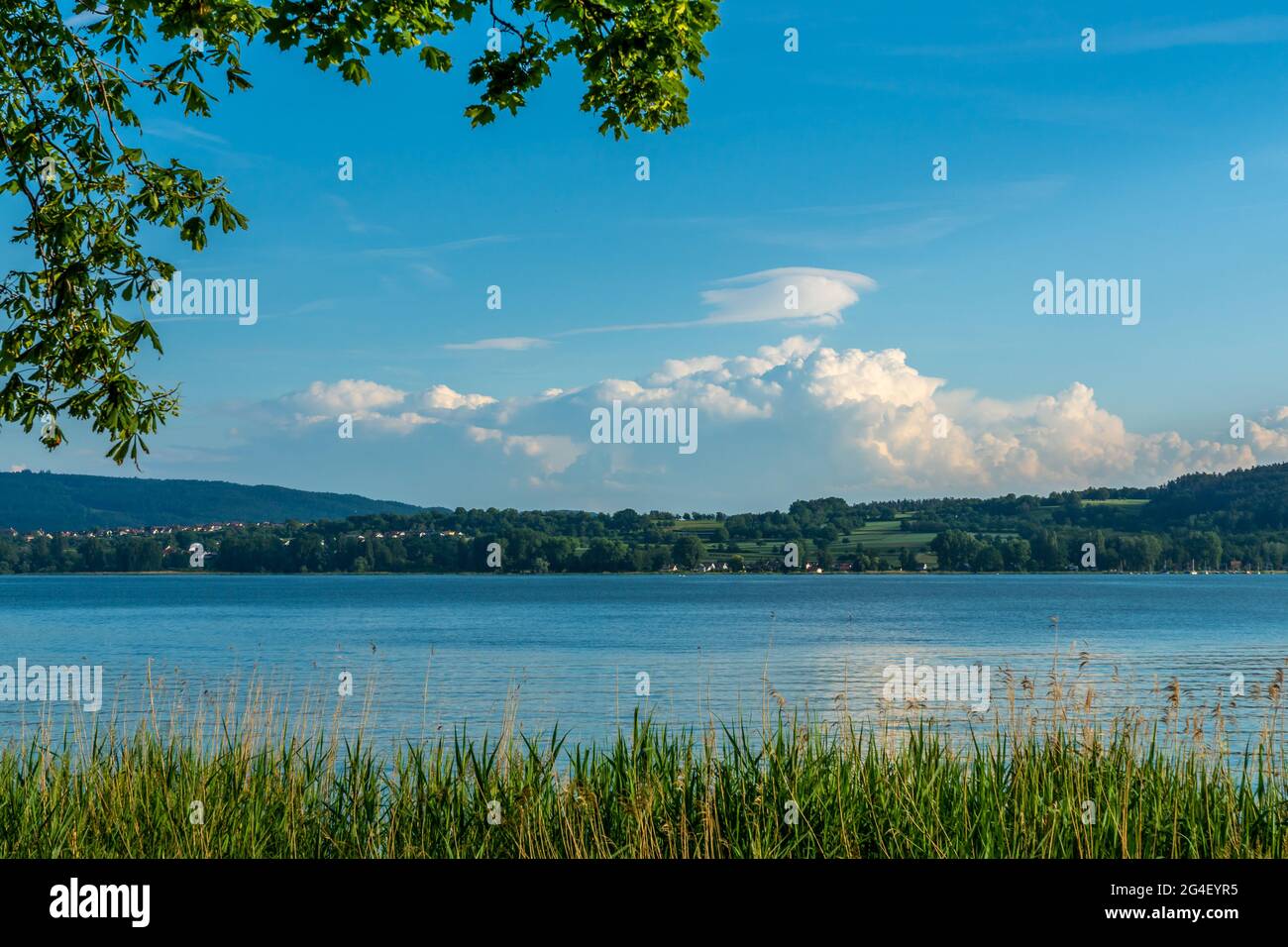 Summer vacation at the beautiful Lake Constance Stock Photo - Alamy
