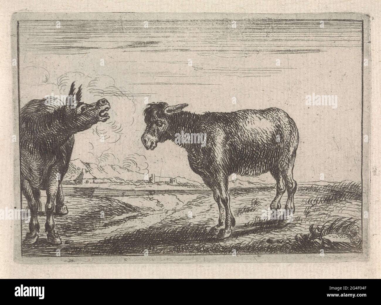 Two donkeys various animals hi-res stock photography and images - Alamy