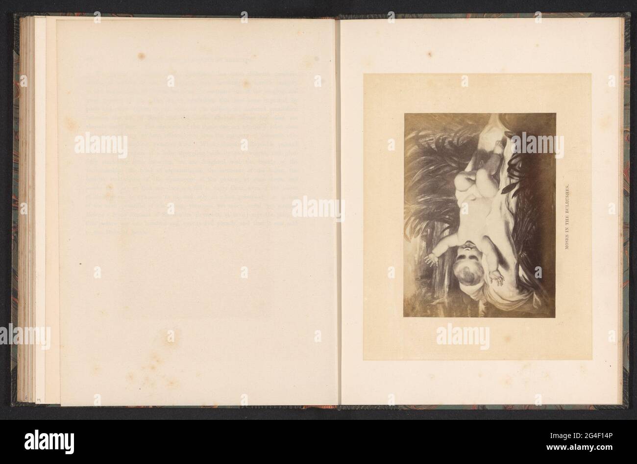 Photo reproduction of the painting Moses in the Bulrushes by Joshua ...