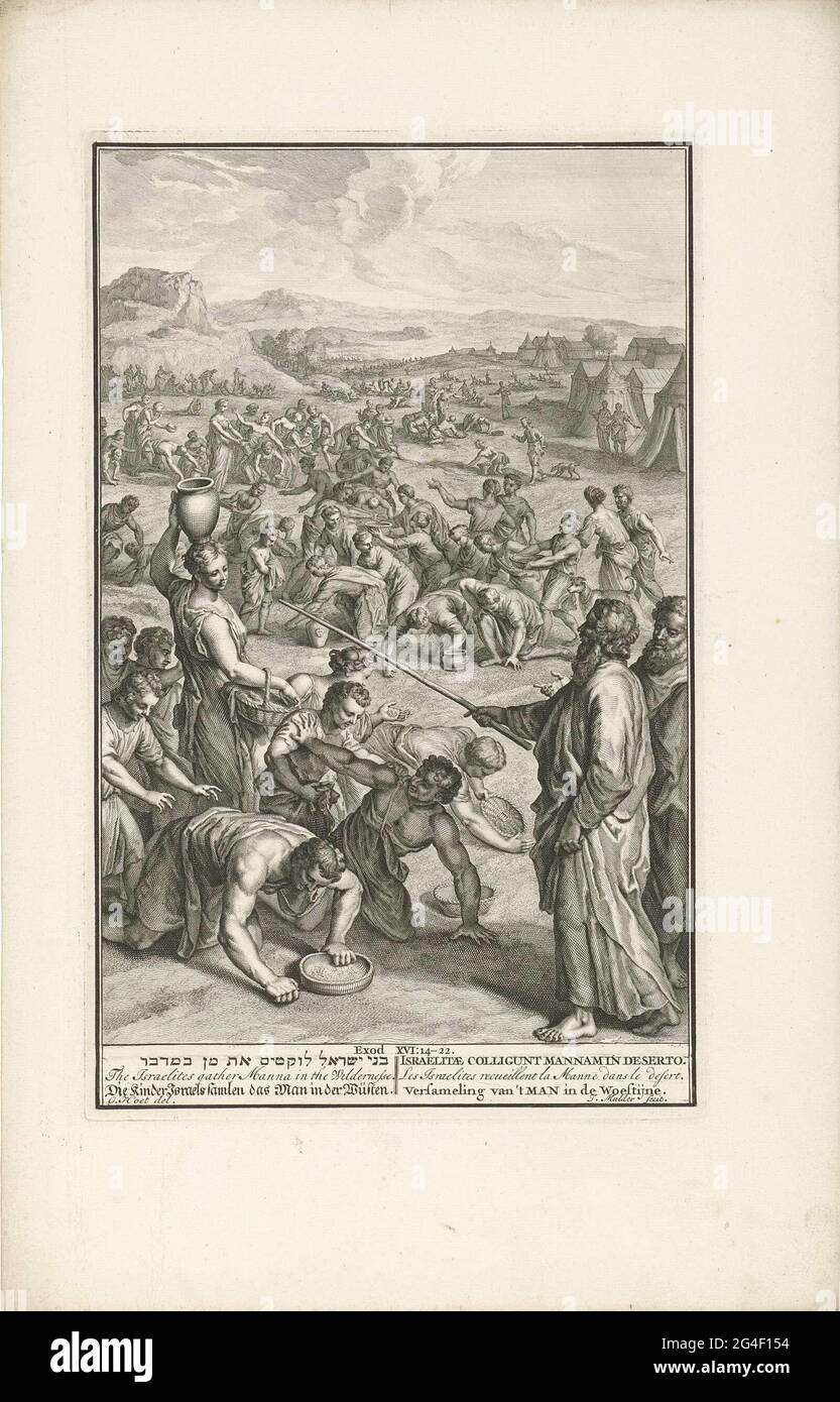. The Israelites collect the manna in pots and baskets. On the right in ...