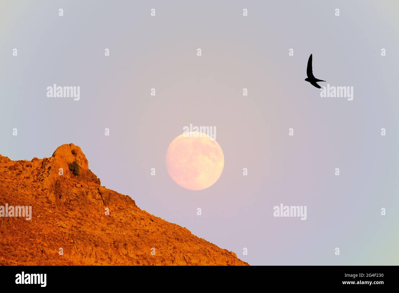 Full moon over hills hi-res stock photography and images - Alamy