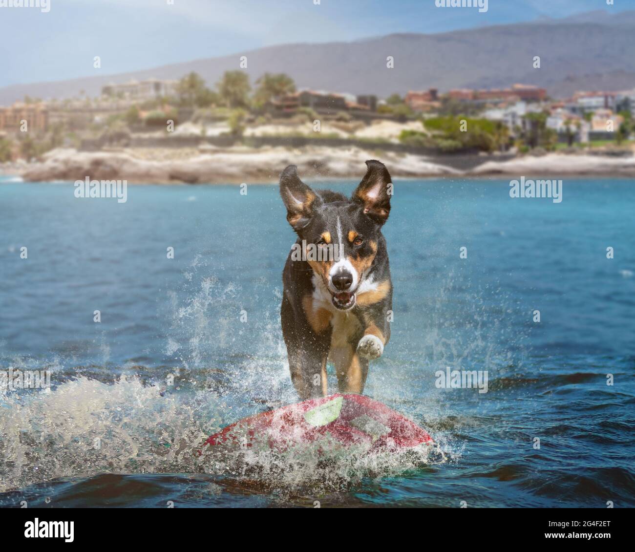 Wave and beach vector hi-res stock photography and images - Alamy