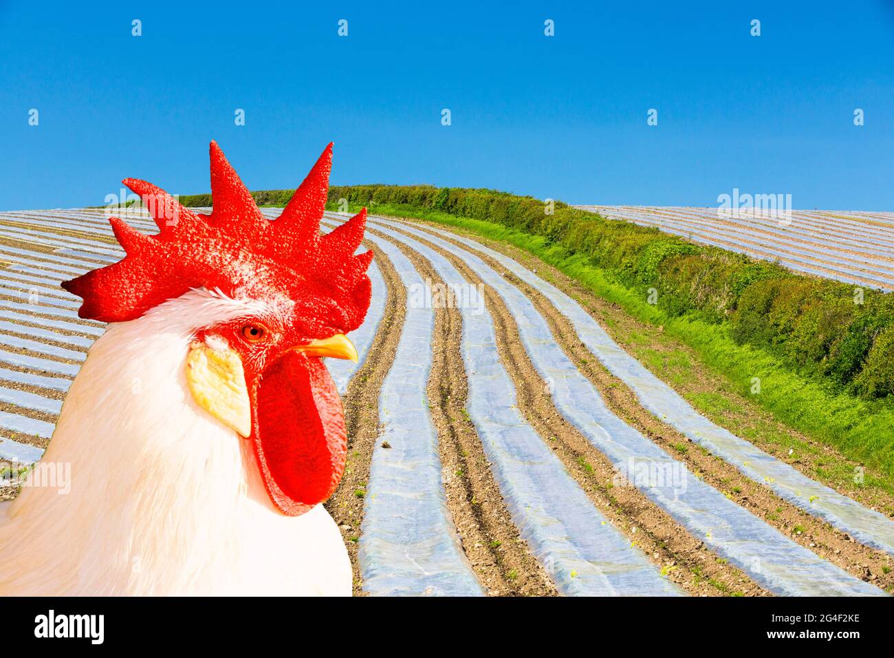 Blue sheeting hi-res stock photography and images - Alamy