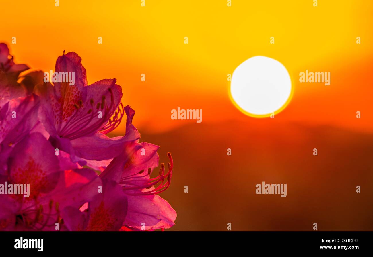 Bergen solnedgang hi-res stock photography and images - Alamy