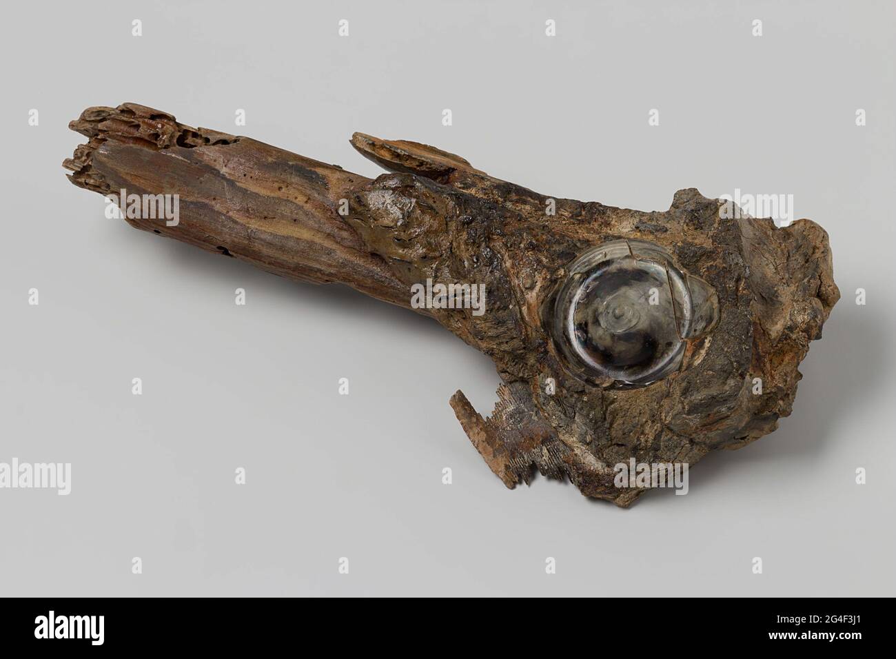 Shapes of shells, lice comb and a foot of a glass from the wreck of the ...