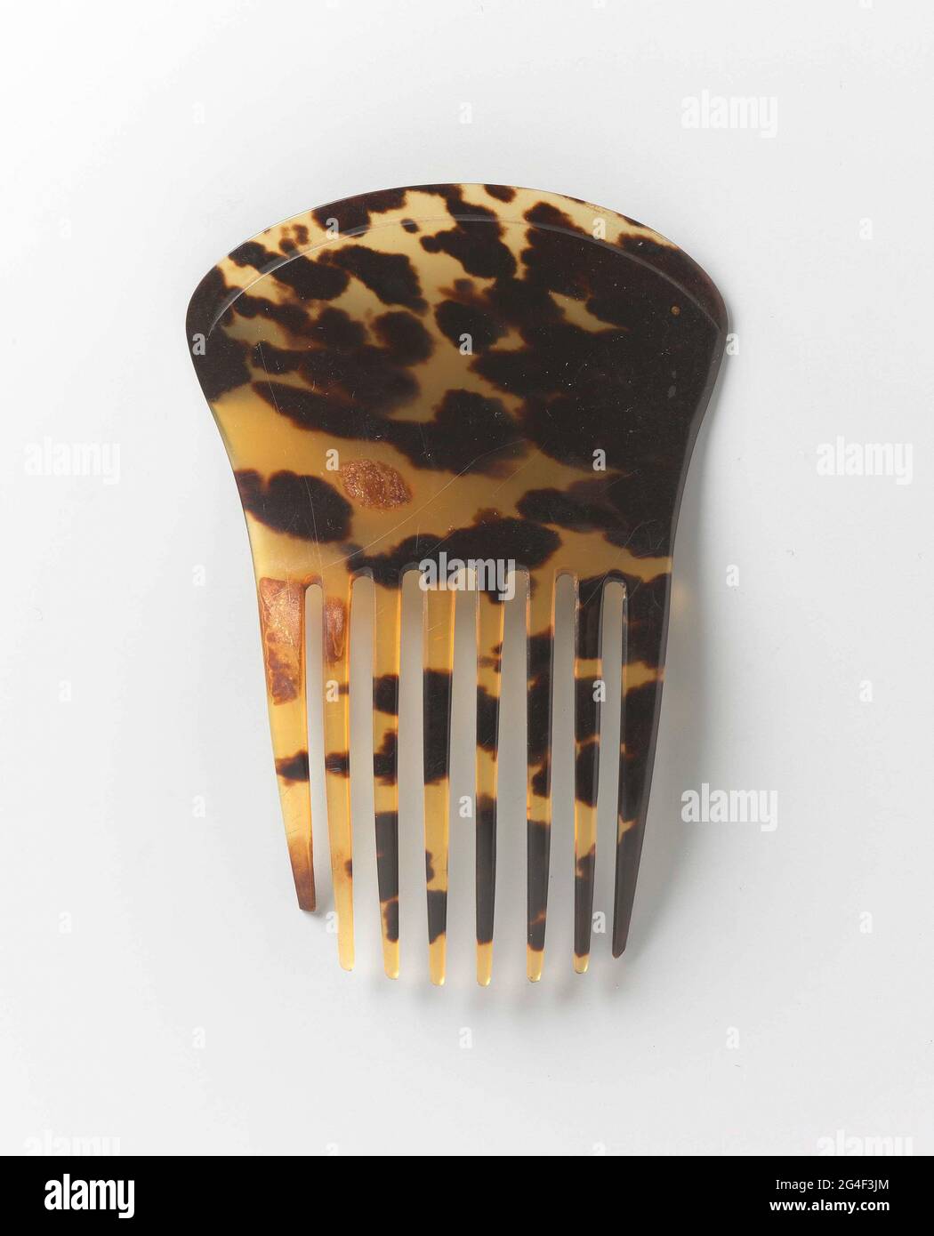 Smooth oval back hi-res stock photography and images - Alamy