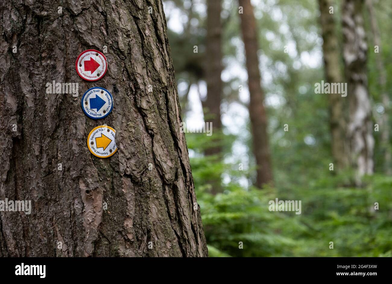 Ramble route marker hi-res stock photography and images - Alamy