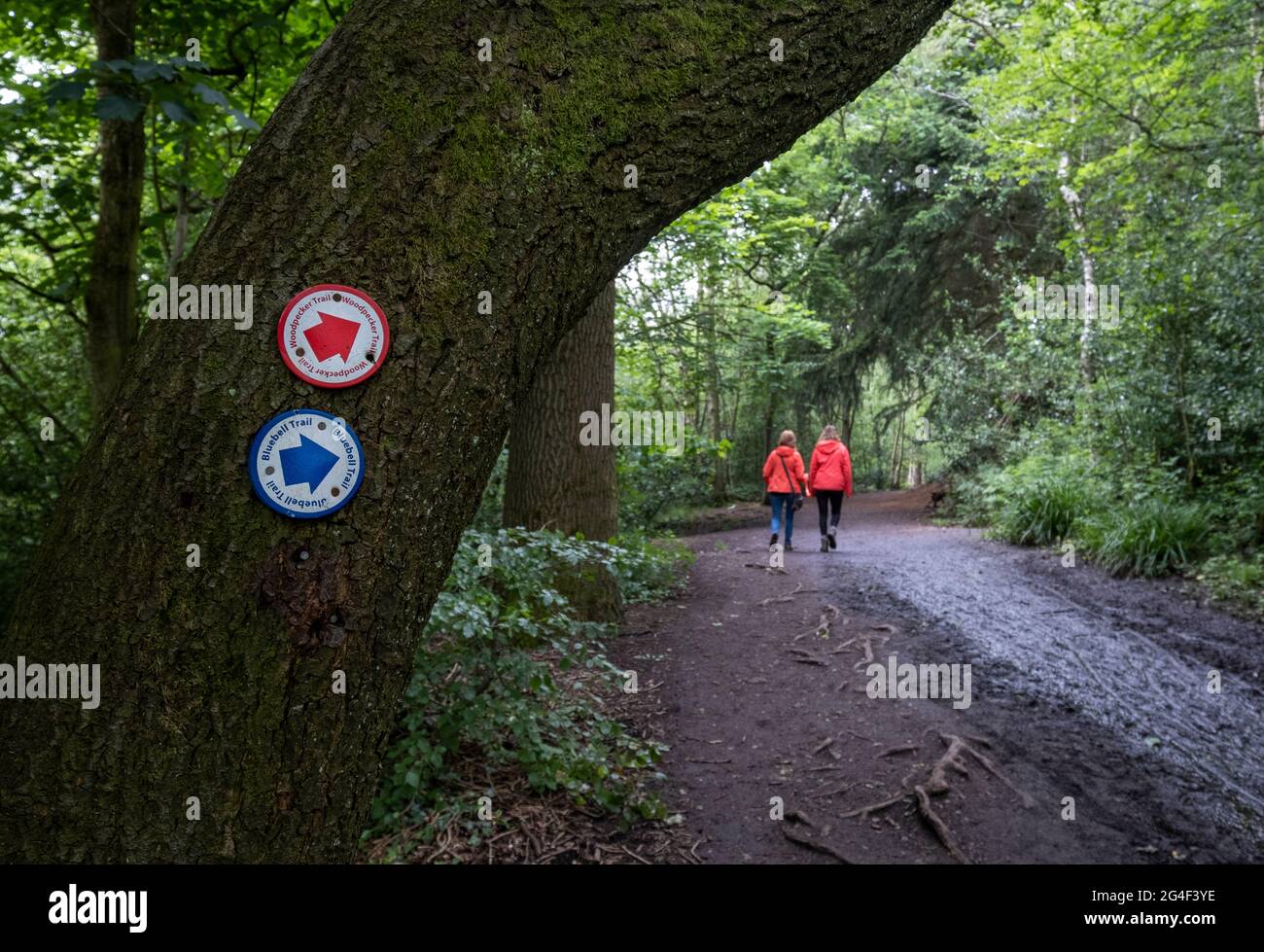 Ramble route marker hi-res stock photography and images - Alamy
