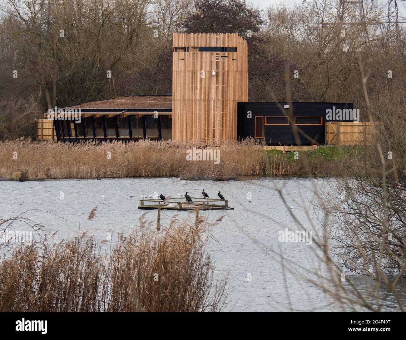 Twitching bird watching hi-res stock photography and images - Alamy