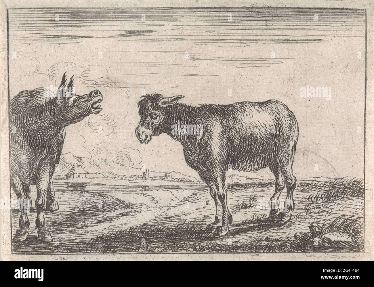 Two donkeys various animals hi-res stock photography and images - Alamy