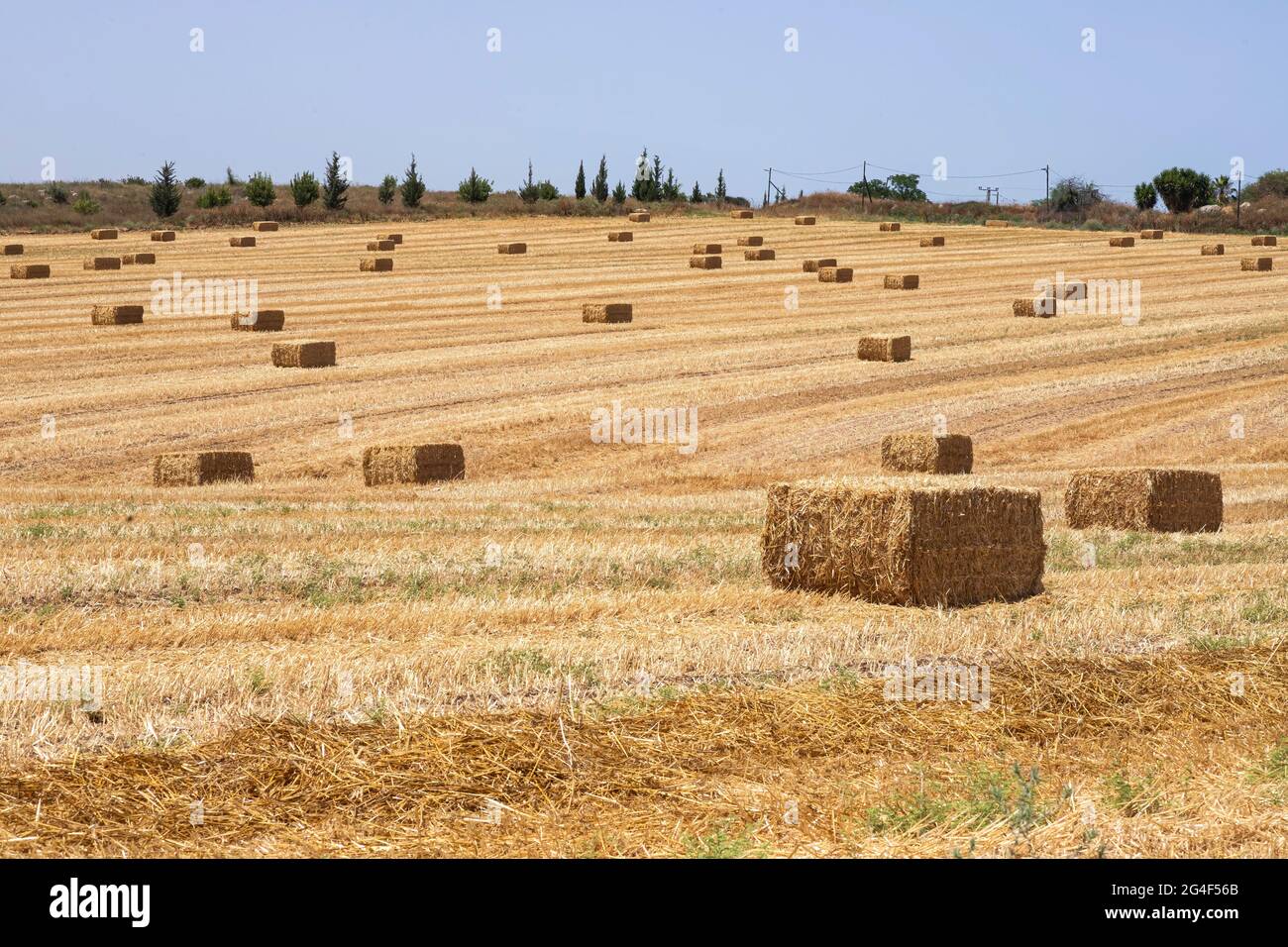 Haystacks straw agriculture agricultural farm field farming hi-res ...