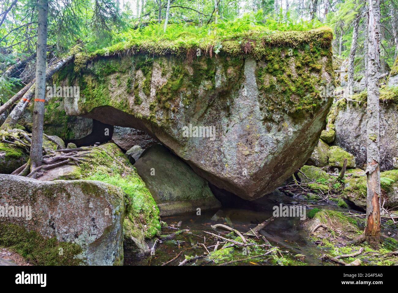 Huge ravine hi-res stock photography and images - Alamy