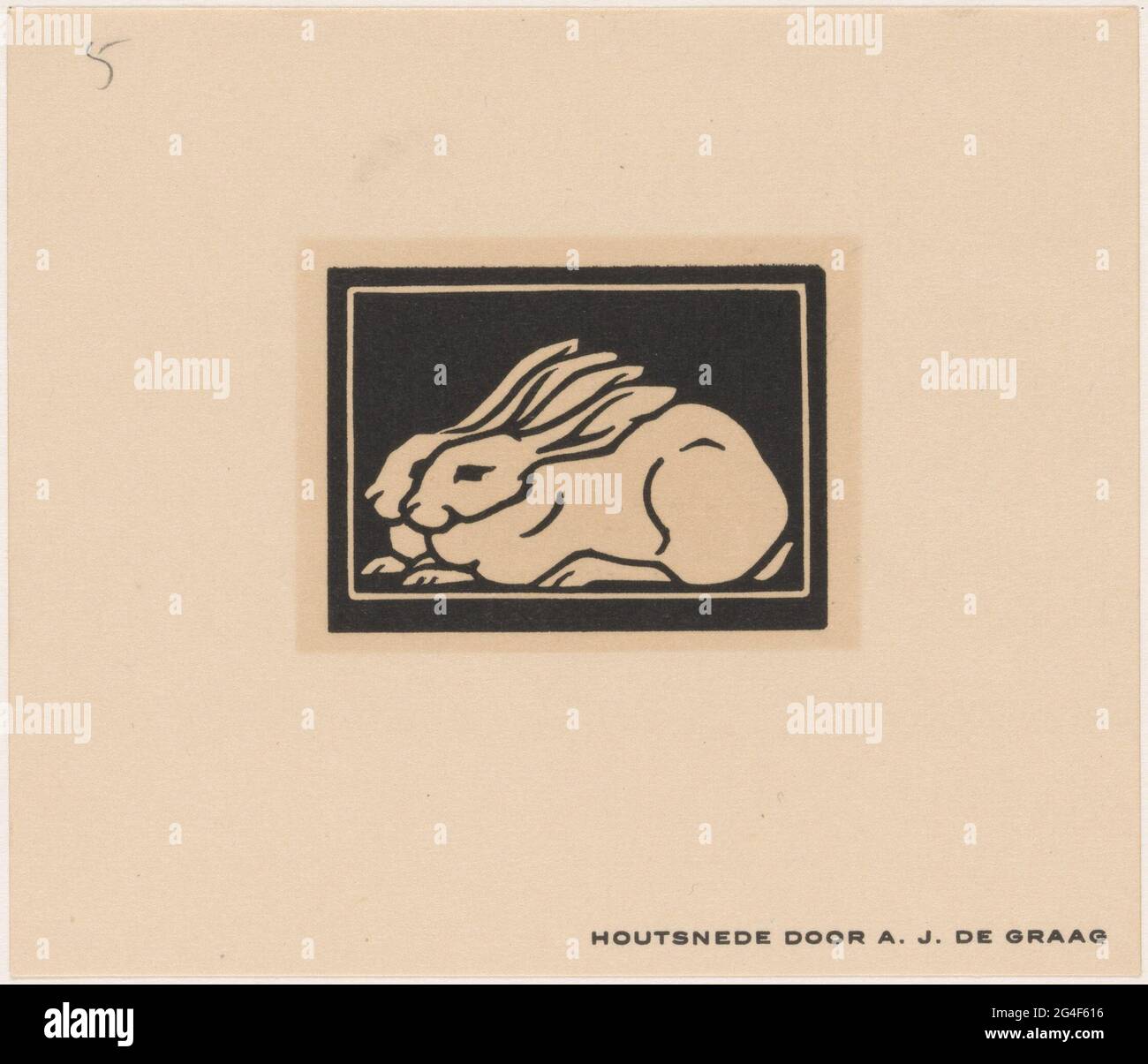 Two rabbits Stock Photo - Alamy