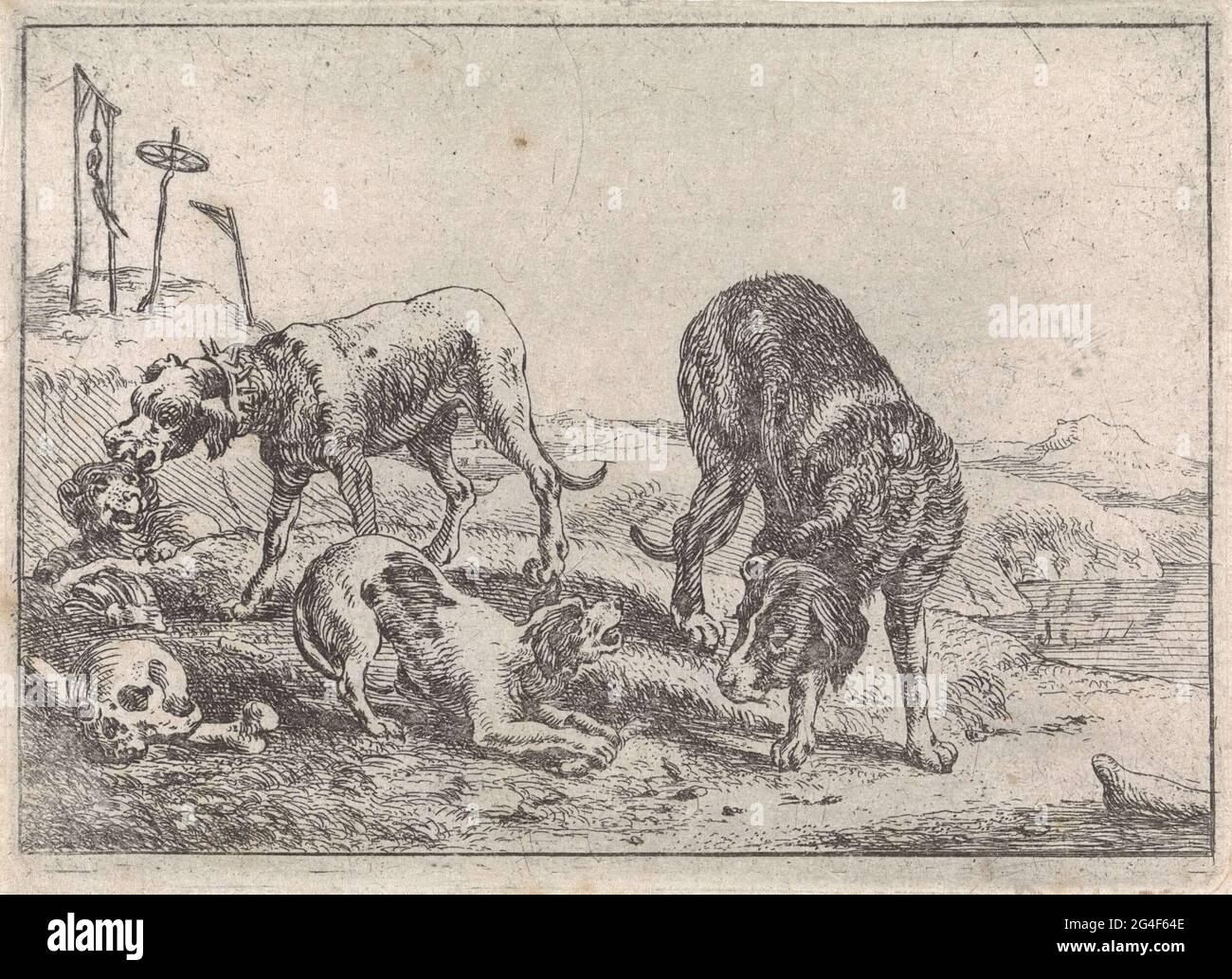 Bone direction hi-res stock photography and images - Alamy