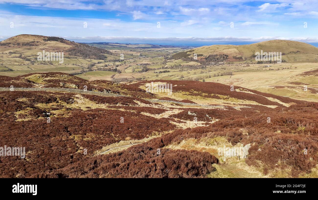 Heather moorland on gowbarrow Fell above Ullswater, Lake District, UK ...