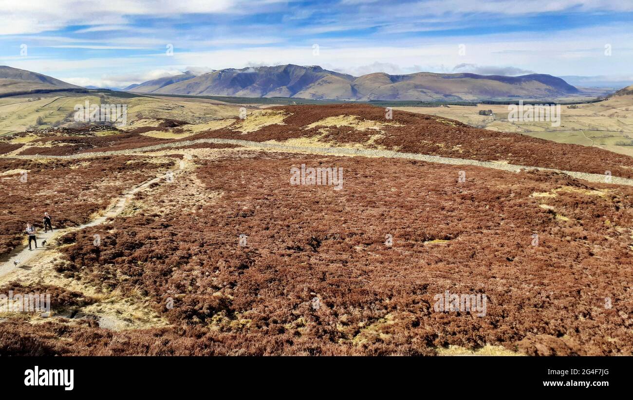 Heather moorland on gowbarrow Fell above Ullswater, Lake District, UK ...