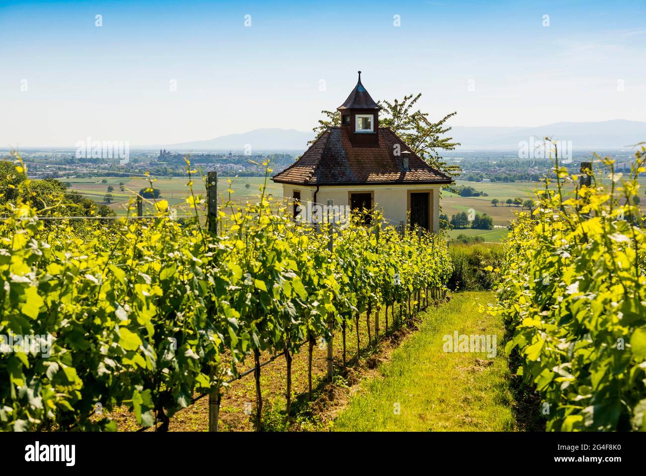 Breisach rhine valley germany hi-res stock photography and images - Alamy