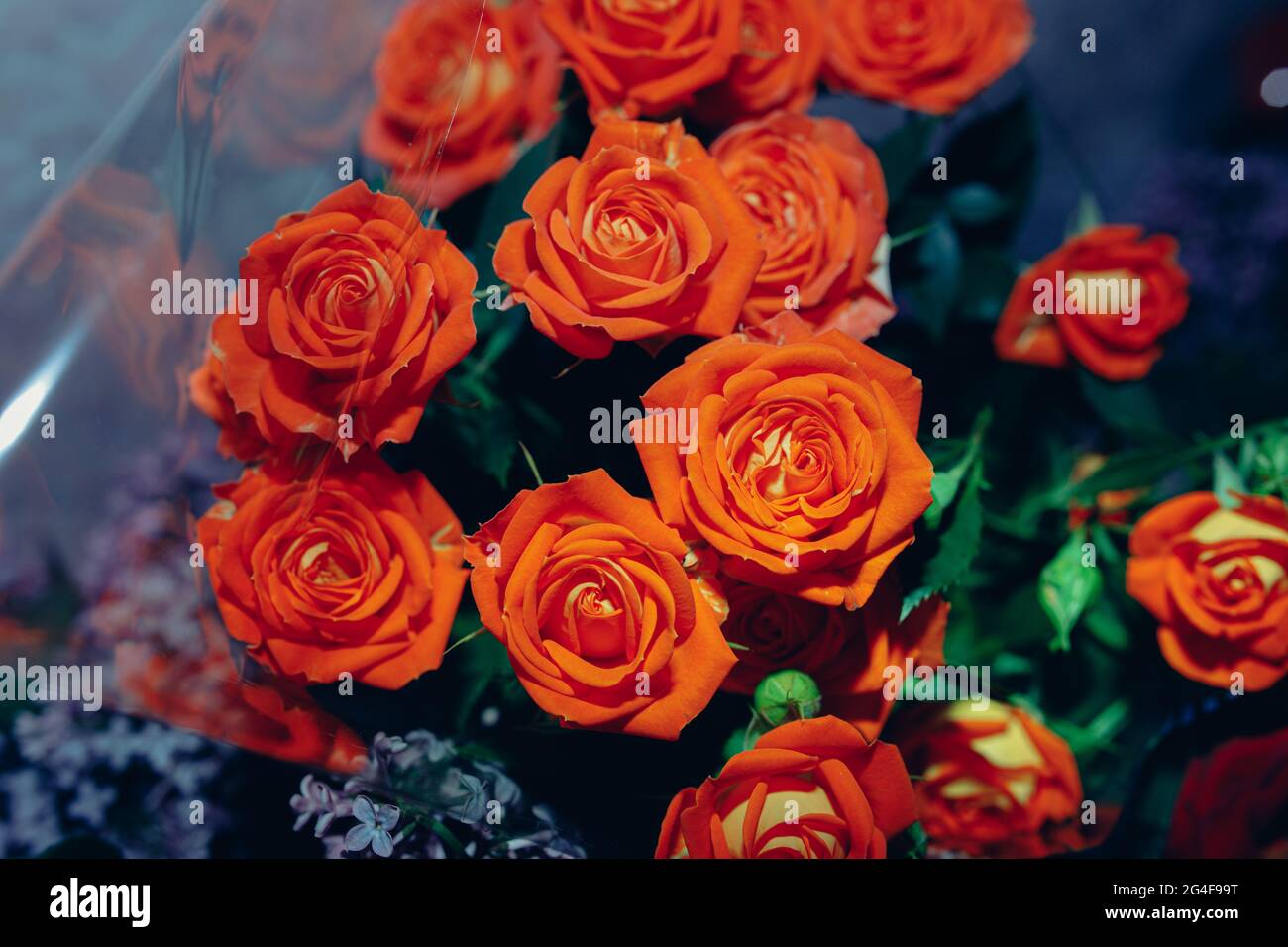a big large lush bouquet of orange roses Stock Photo - Alamy