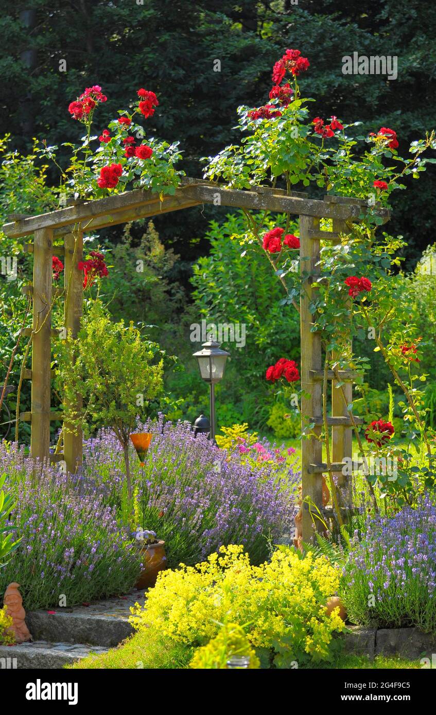 Rose arbor hi-res stock photography and images - Alamy