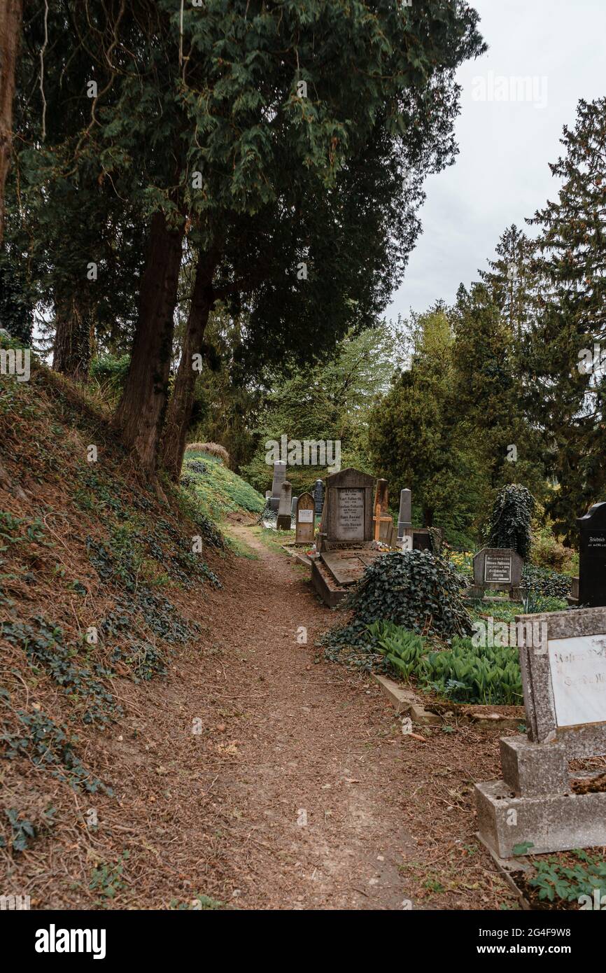 Vertical shot of a graveyard with trees Stock Photo - Alamy