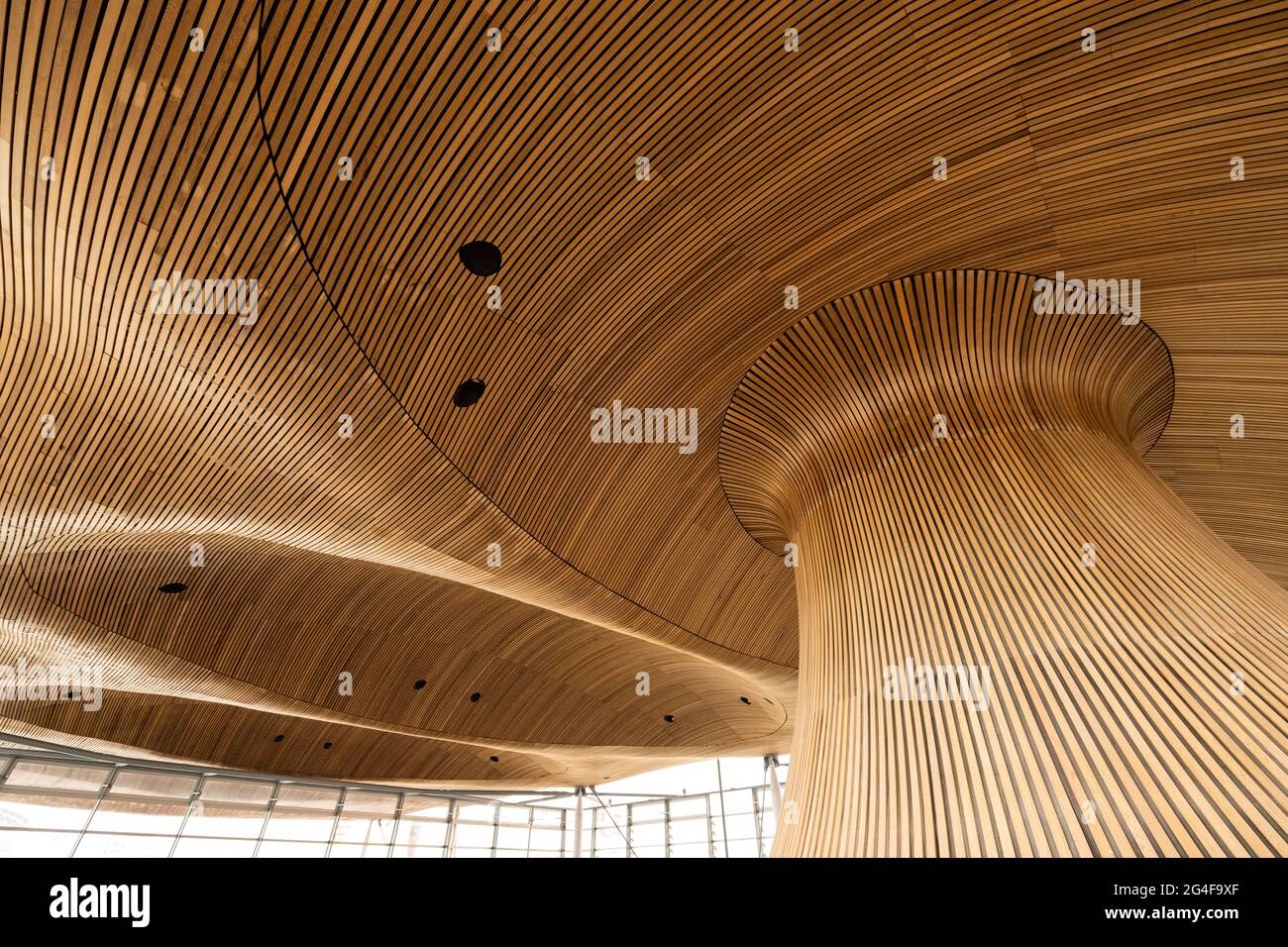 A general view inside the Senedd, home of the Welsh Parliament, in ...