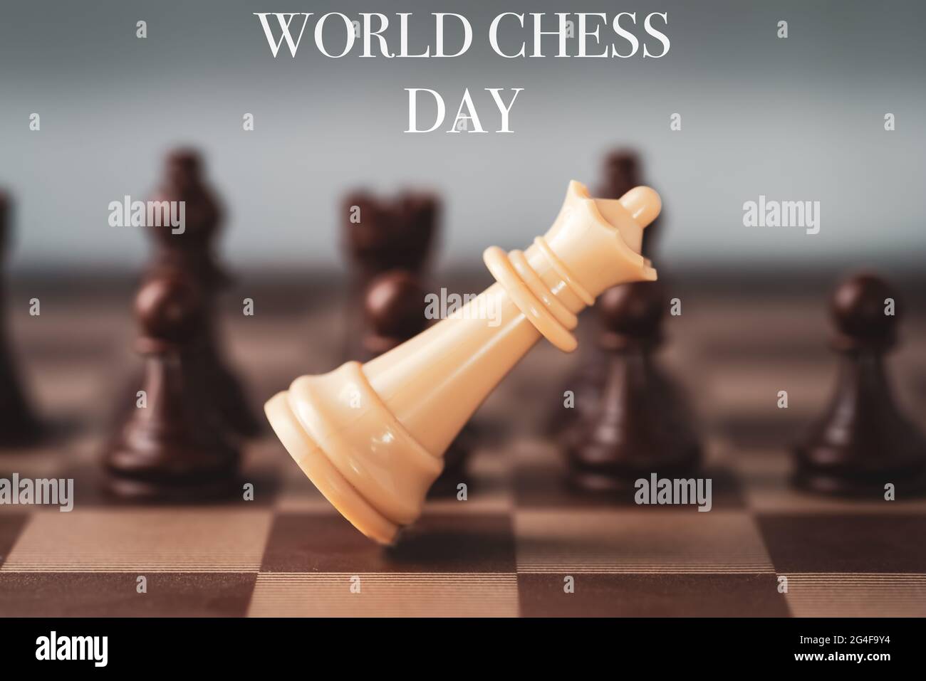 white chess queen falling on chess board world chess day Stock Photo ...