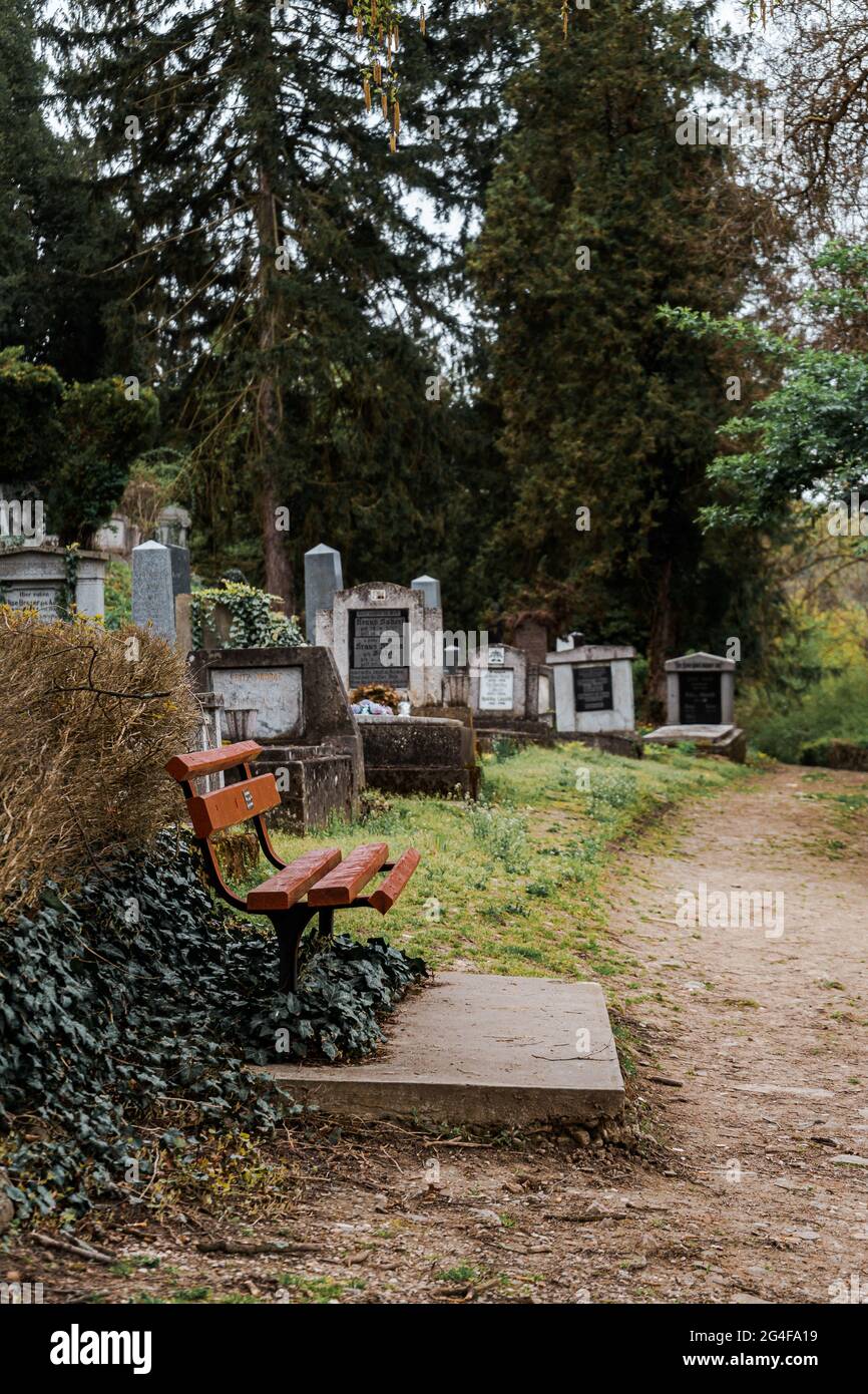 Empty old wooden bench in the cemetery Stock Photo - Alamy