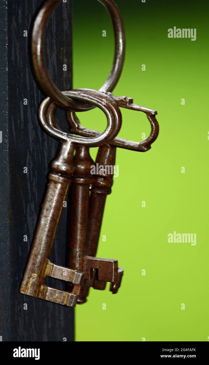 Hanging on the piling hi-res stock photography and images - Alamy