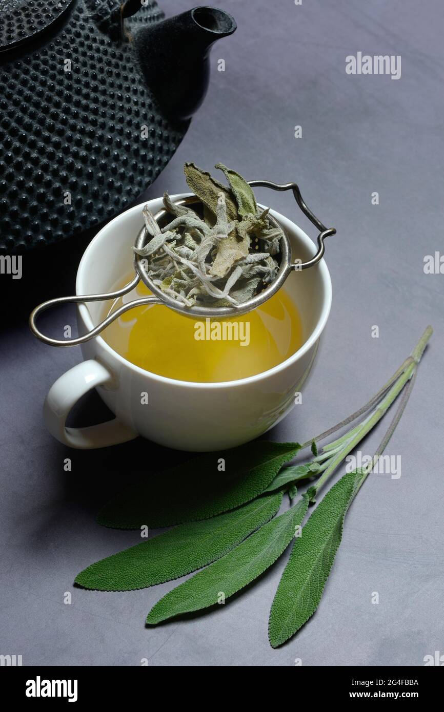 Tea branch hi-res stock photography and images - Alamy