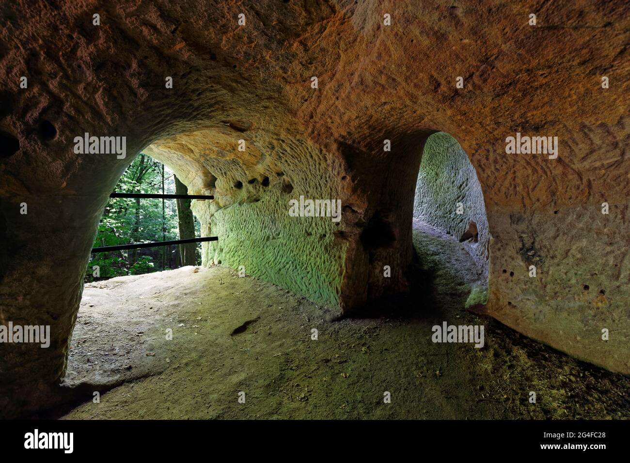 Lions den gallery hi-res stock photography and images - Alamy